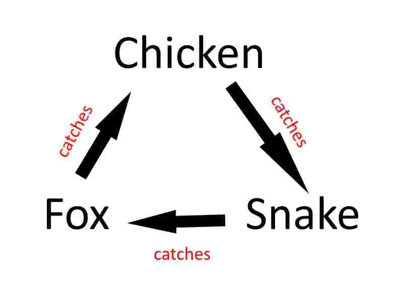 Fox-Chicken-Snake-Catching-Matrix - Play with your kid.com